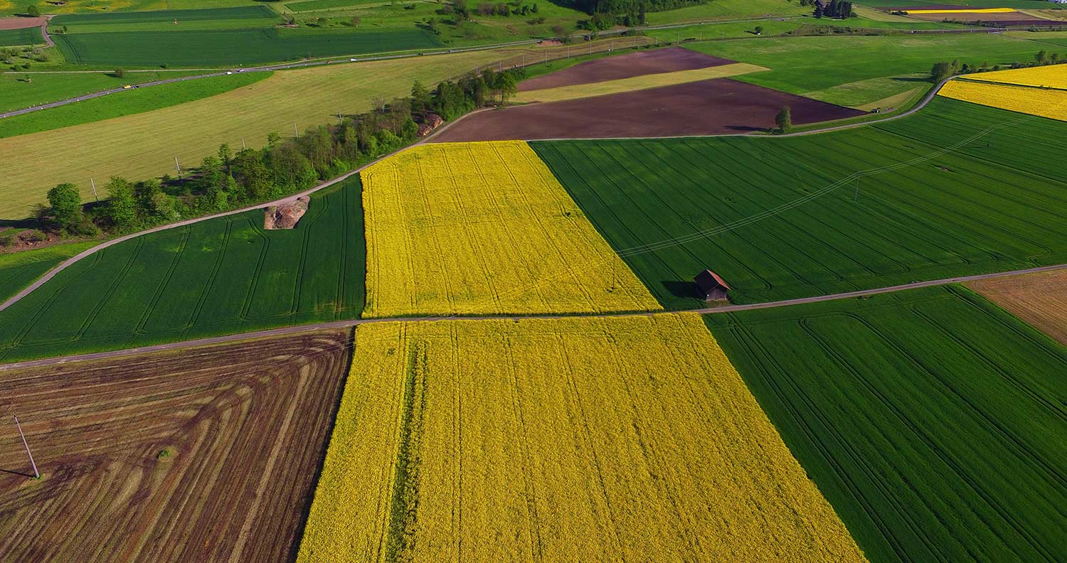 Crop & Soil Assessment - SupplyValid - We protect and authenticate your ...